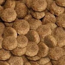 Scotia Working Adult Dog Crunch – 15kg – Scotia Pet Supplies